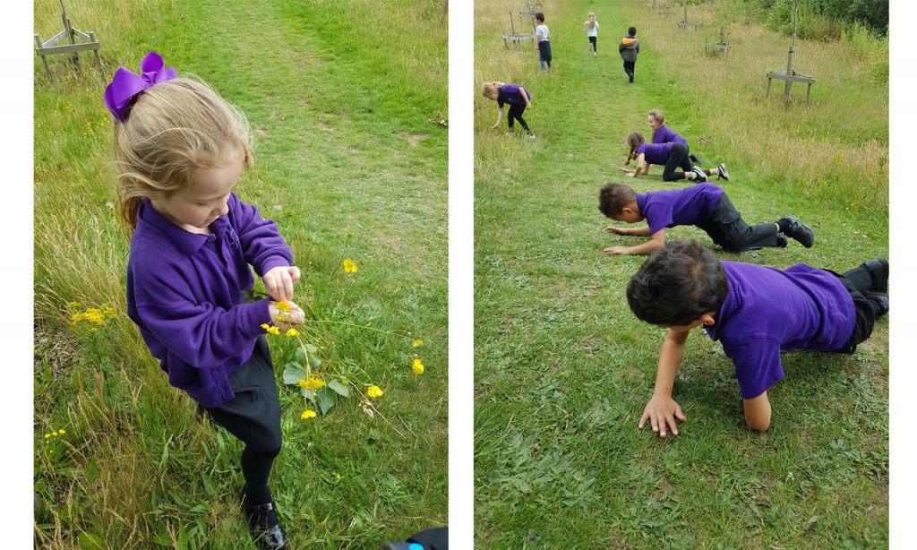 Year One | Fieldhead Carr