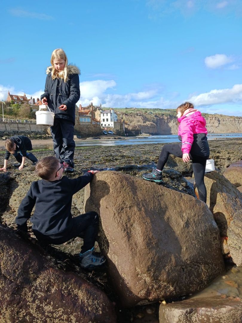 photo of rockpooling | Fieldhead Carr